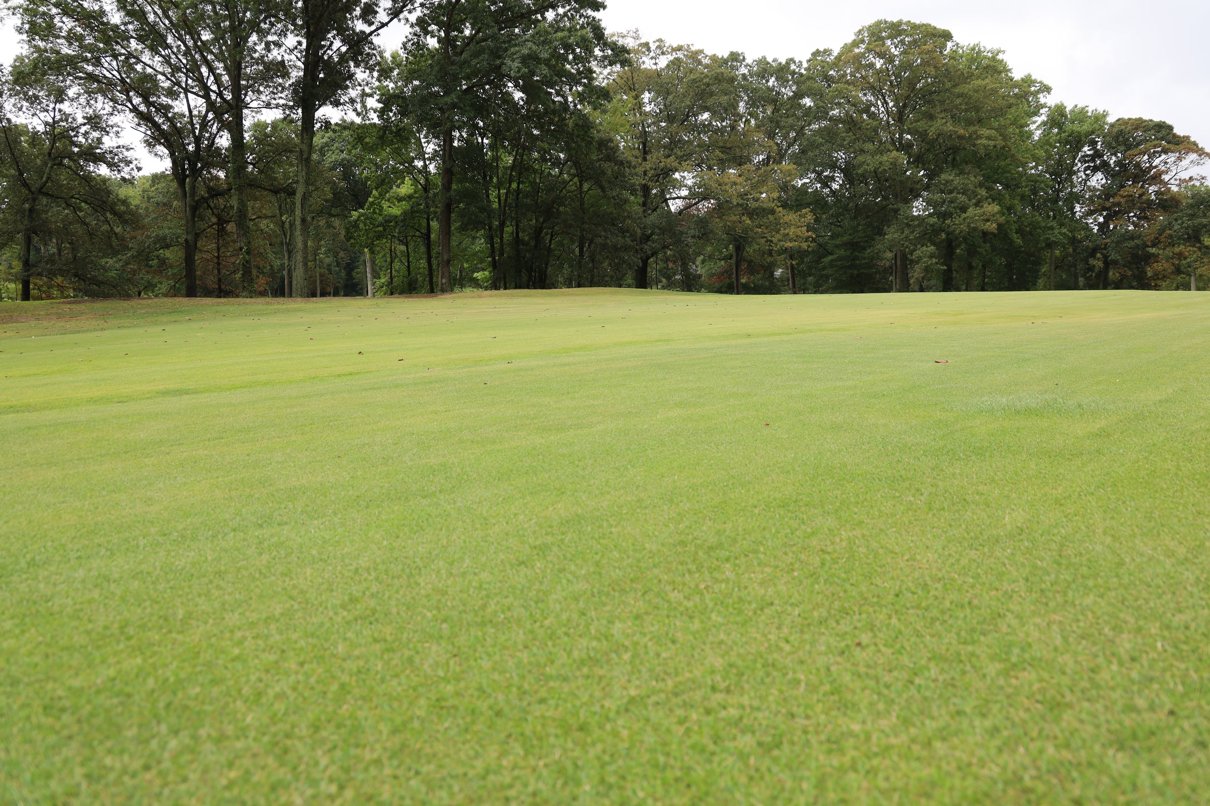 Snaps Golf Accessories - All-In-One Golf Bag Accessory Pouch – SNAPS ...